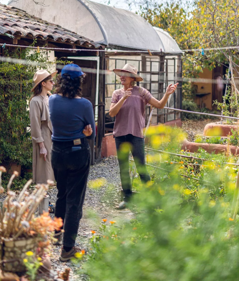 Homepage | Banyan Group